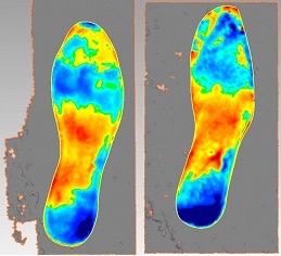 Artec 3D scanners help police identify footprints at crime scenes ...